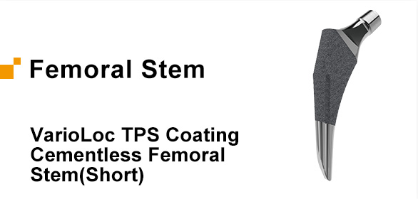 VarioLoc TPS Coating Cementless Femoral Stem (Short) – aap Joints-Fit ...