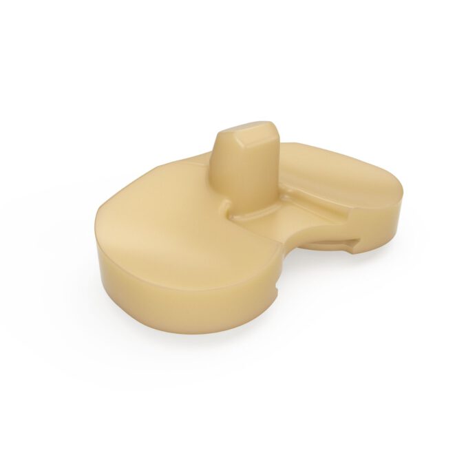 PreciTotal Tibial Insert - aap Joints GmbH – Fit for patients, Value ...