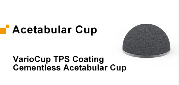 VarioCup TPS Coating Cementless Acetabular Cup – aap Joints-Fit for ...